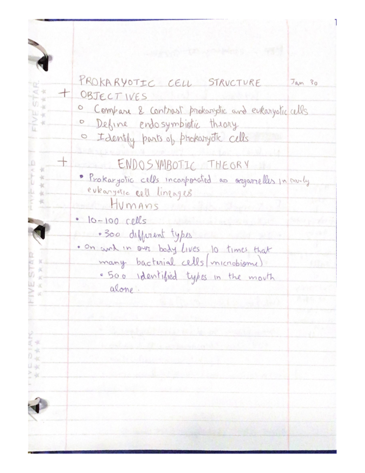 Prokaryotic Cell Structure And Organelles - BSC2010 - Studocu