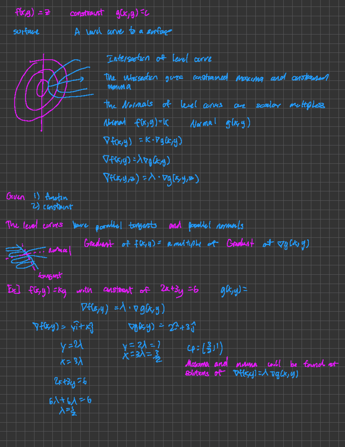 Lagrange Multipliers - Lecture notes from Professor Leonard for ...