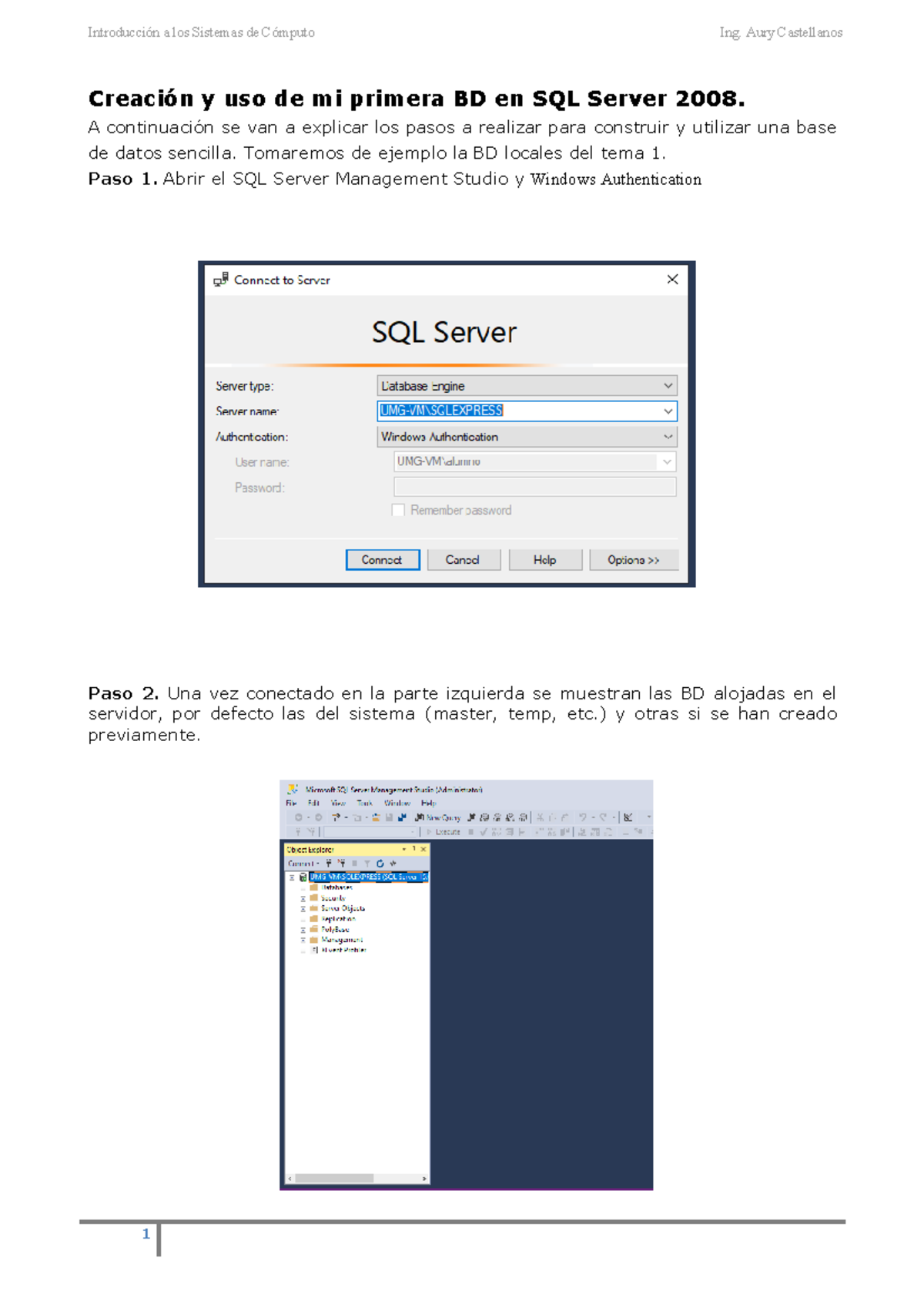 Practica bases de datos - Introducción a los Sistemas de Cómputo Ing ...