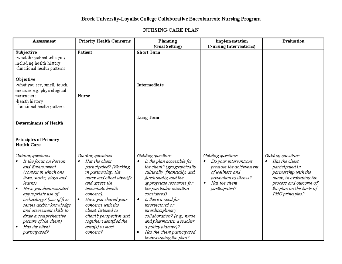 Care Plan Template - Brock University-Loyalist College Collaborative ...