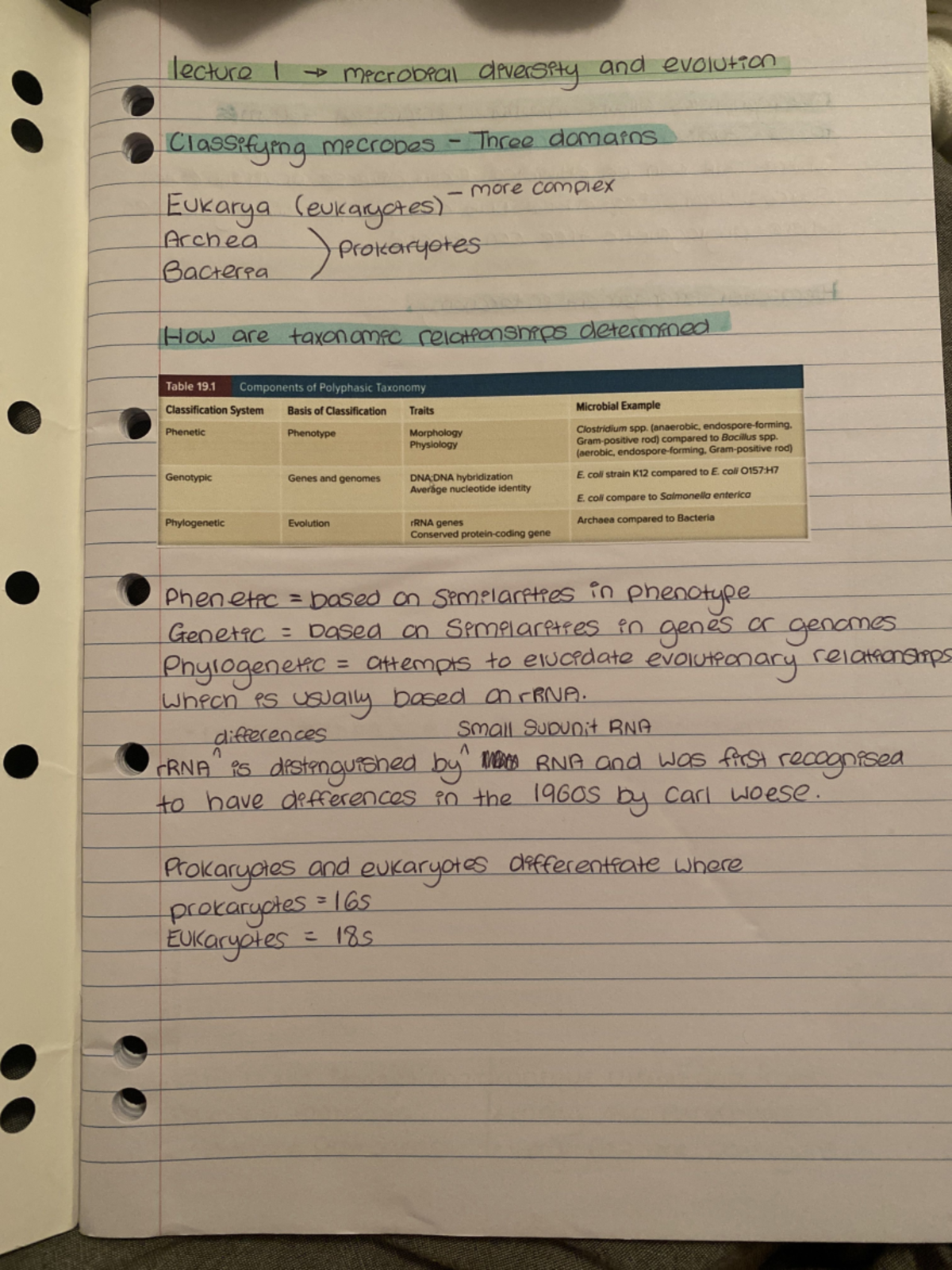 Microbiology module 1, lectures 1-6 - BIOL3100 - Studocu