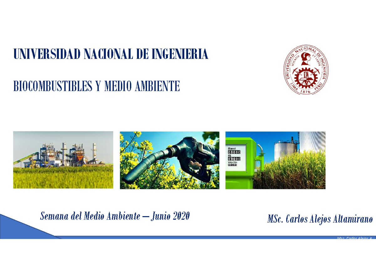 Altamirano (2020) Biocombustibles y medio ambiente - UNIVERSIDAD ...