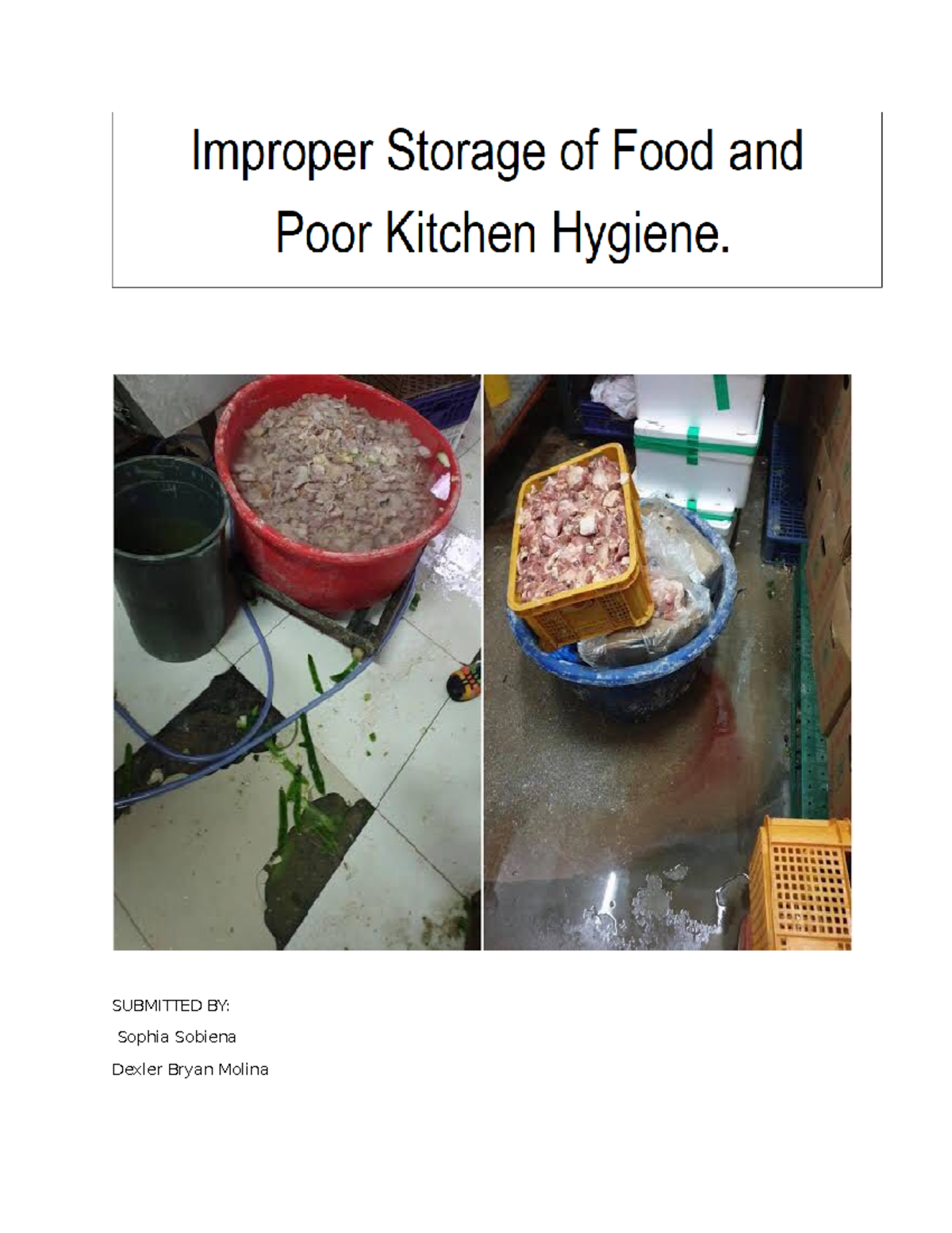 Improper food storage and poor kitchen hygiene - BS in International ...