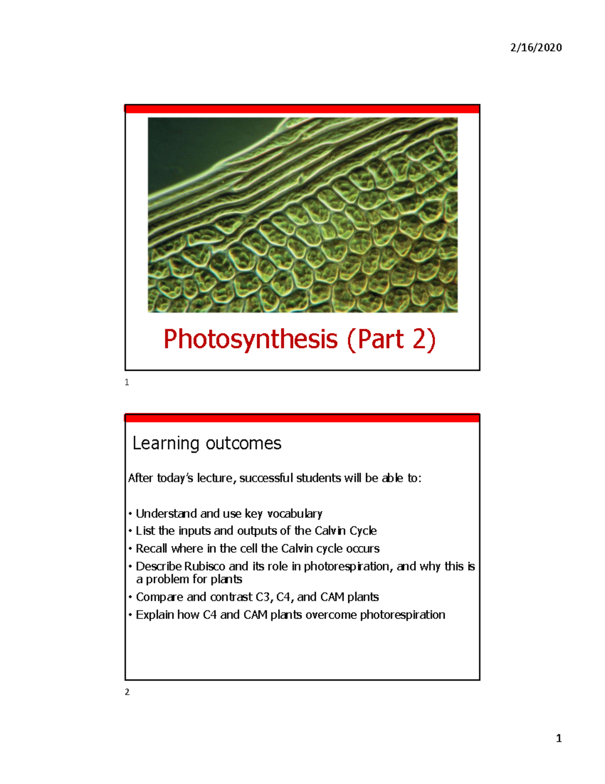 Lecture 14 - Feb20 - Photosynthesis Part 2 - Photosynthesis (Part 2 ...