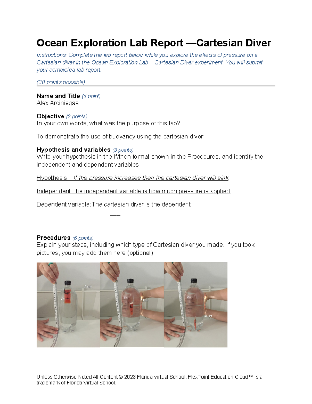 Cartesian diver lab report - Ocean Exploration Lab Report —Cartesian ...