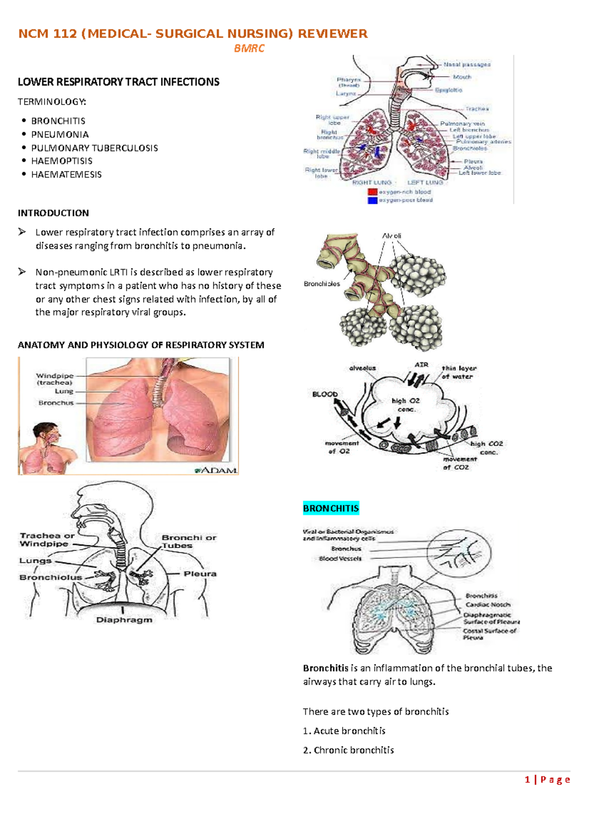LRTI - My own reviewer for Lower Respiratory Medsurg. Might help ...