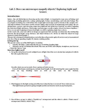 How to Calculate a Random Probability Match for DNA Profiling - ~r(tfQ ...