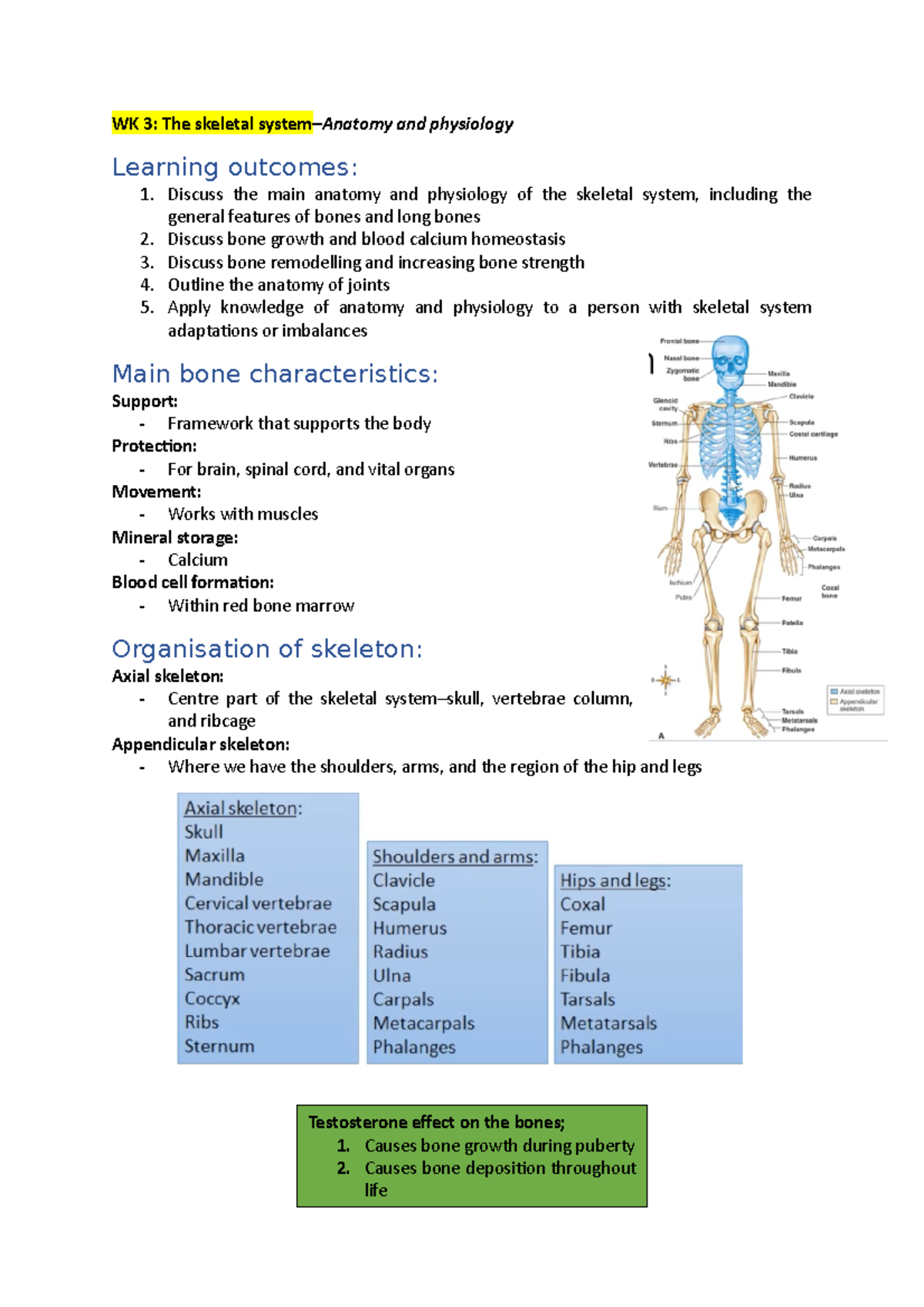 WK3-The skeletal system - WK 3: The skeletal system–Anatomy and ...