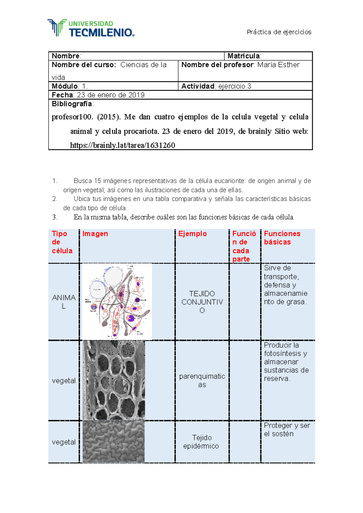 ejercicio 3 ciencias de la vida - Nombre: Matrícula: Nombre del curso ...