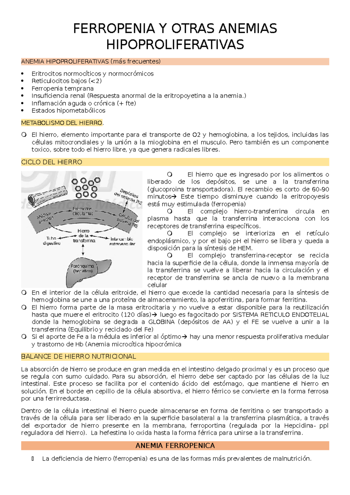 Ferropenia Y Otras Anemias Hipoproliferativas - FERROPENIA Y OTRAS ...