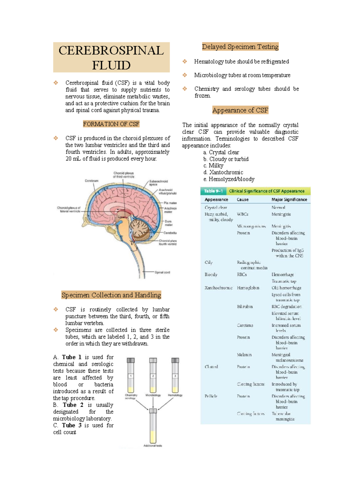 CSF transes - CEREBROSPINAL FLUID Cerebrospinal fluid (CSF) is a vital ...