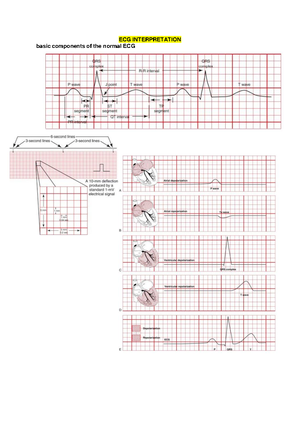 Para prac 2 learning guide - School of Health Sciences HLTH2017 ...