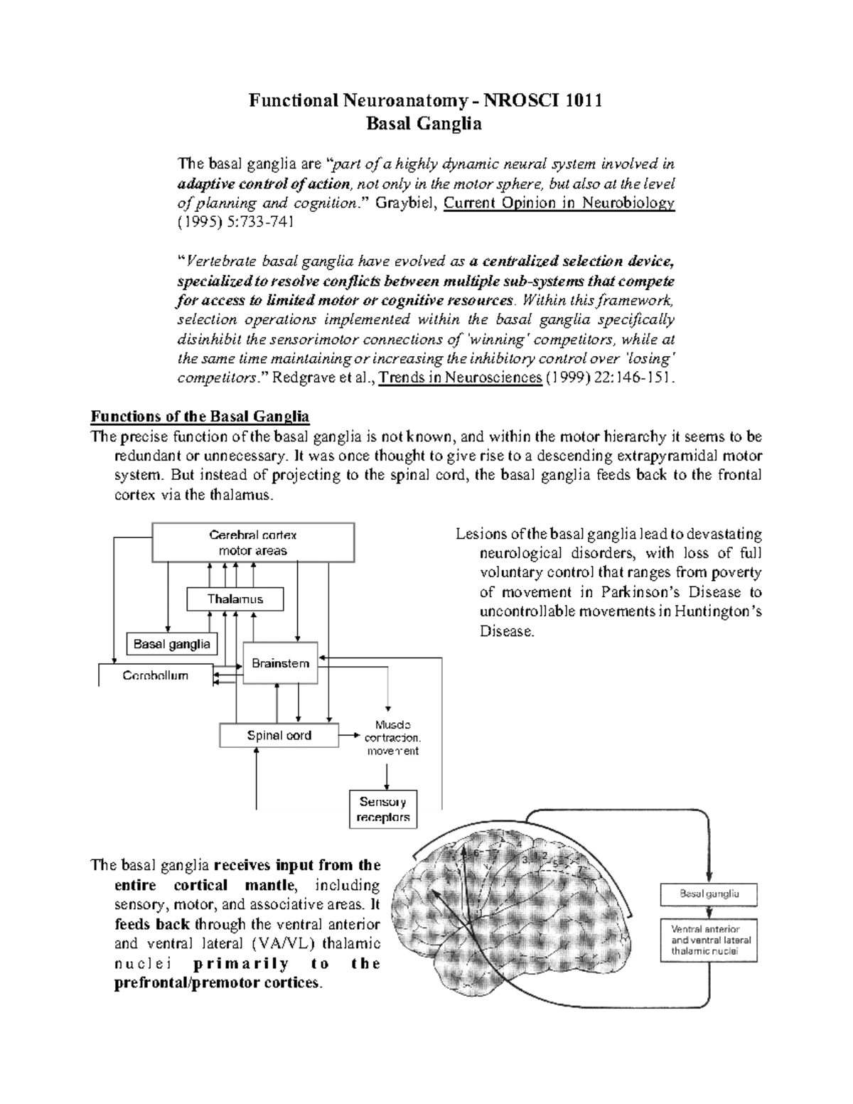 Basal Ganglia - Dr. Sesack - Functional Neuroanatomy - NROSCI 1011 ...