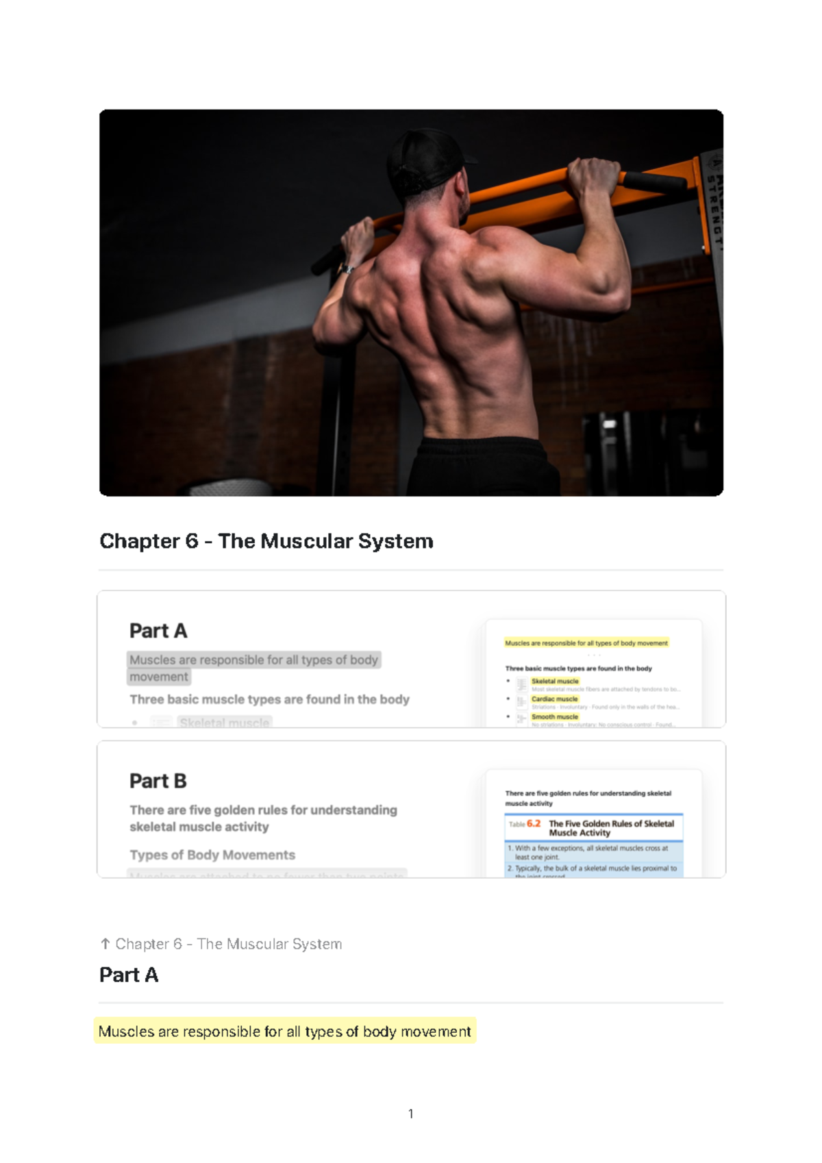 Skeletal Muscle Activity Chapter 6