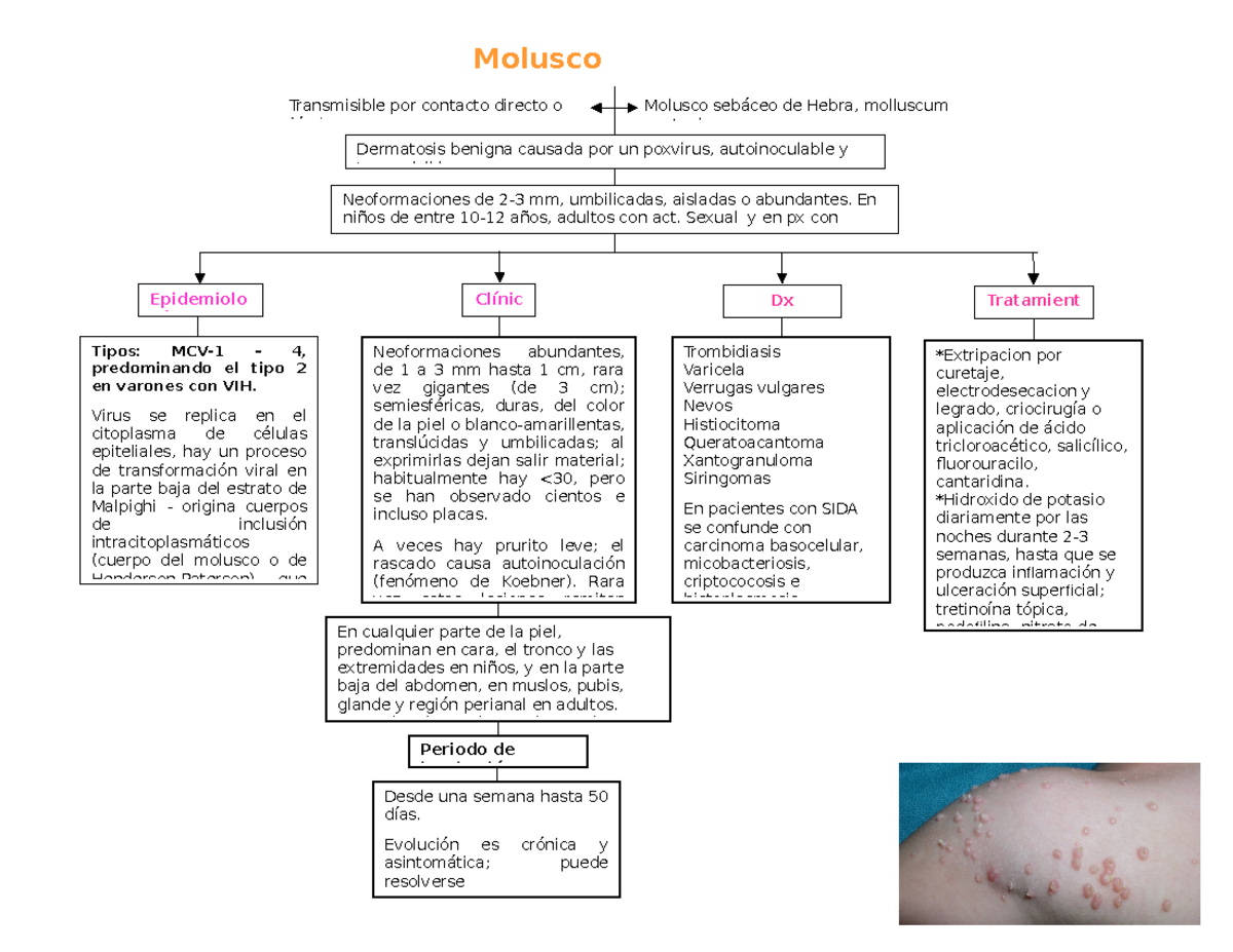 Mapa molusco contagioso - Molusco contagioso Transmisible por contacto ...