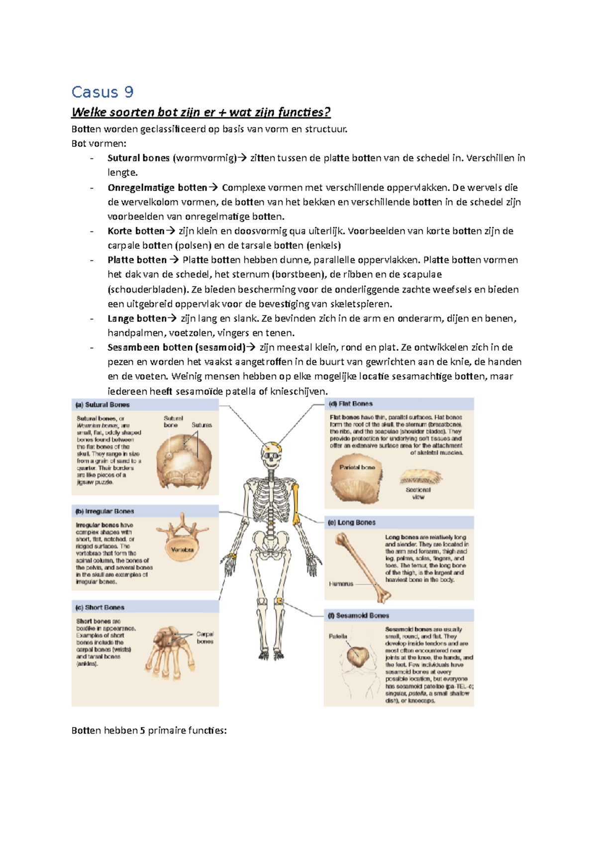 Casus 9 uitwerking - Casus 9 Welke soorten bot zijn er + wat zijn ...