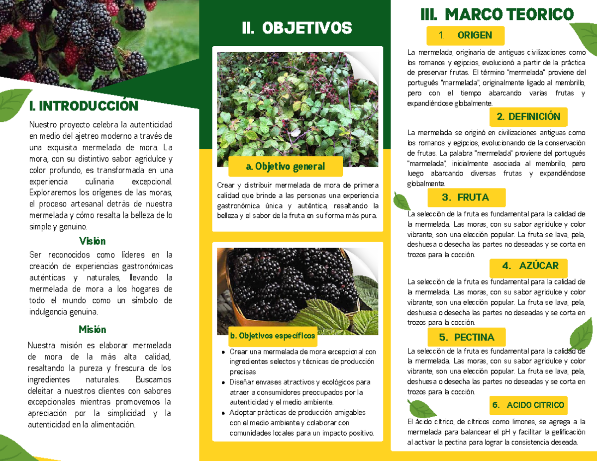 Proyecto DE Moras - OLOLOLOL - I. INTRODUCCIÓN Nuestro proyecto celebra ...