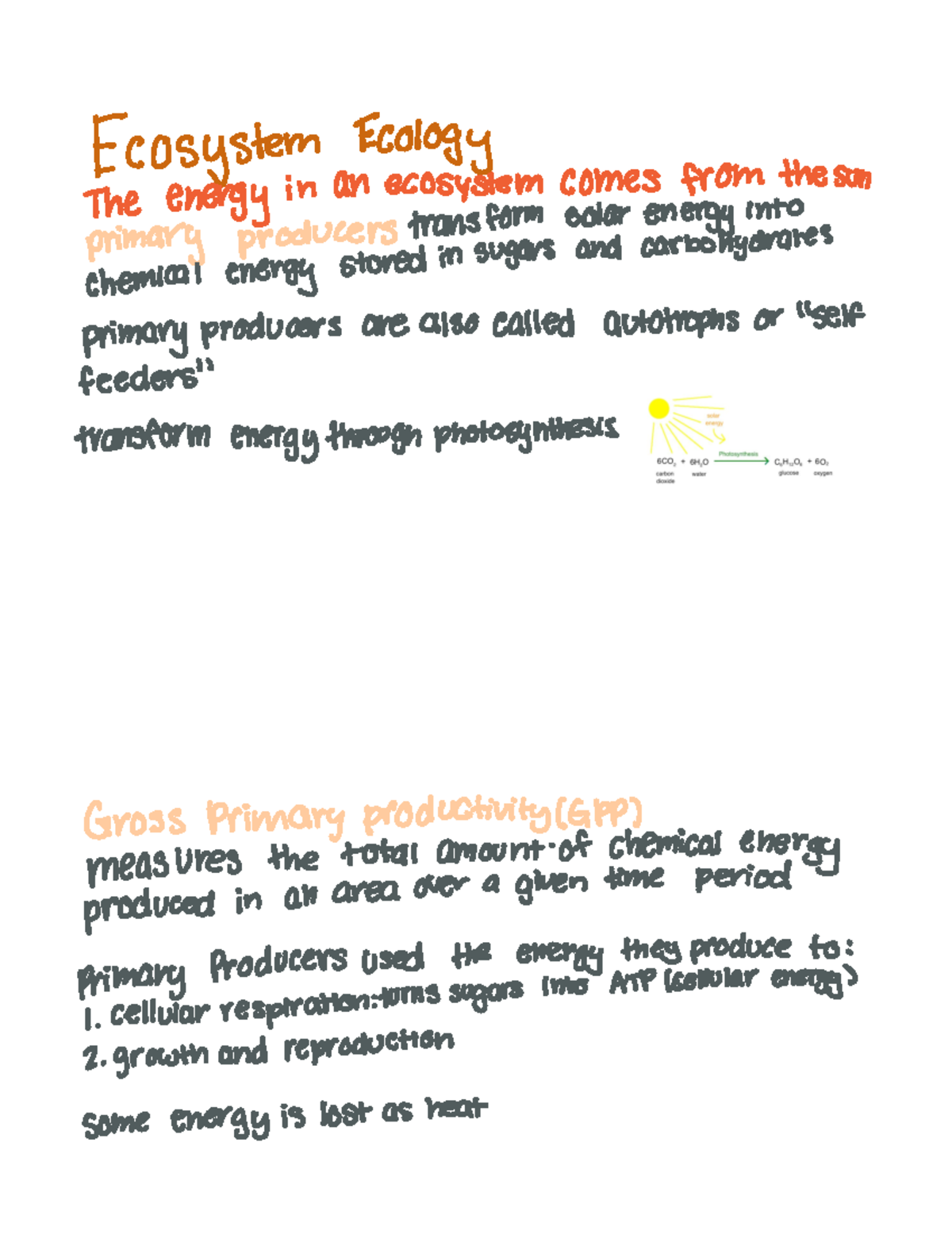 Ecosystem Ecology - Ecosystem Ecology The energy in an ecosystem comes ...