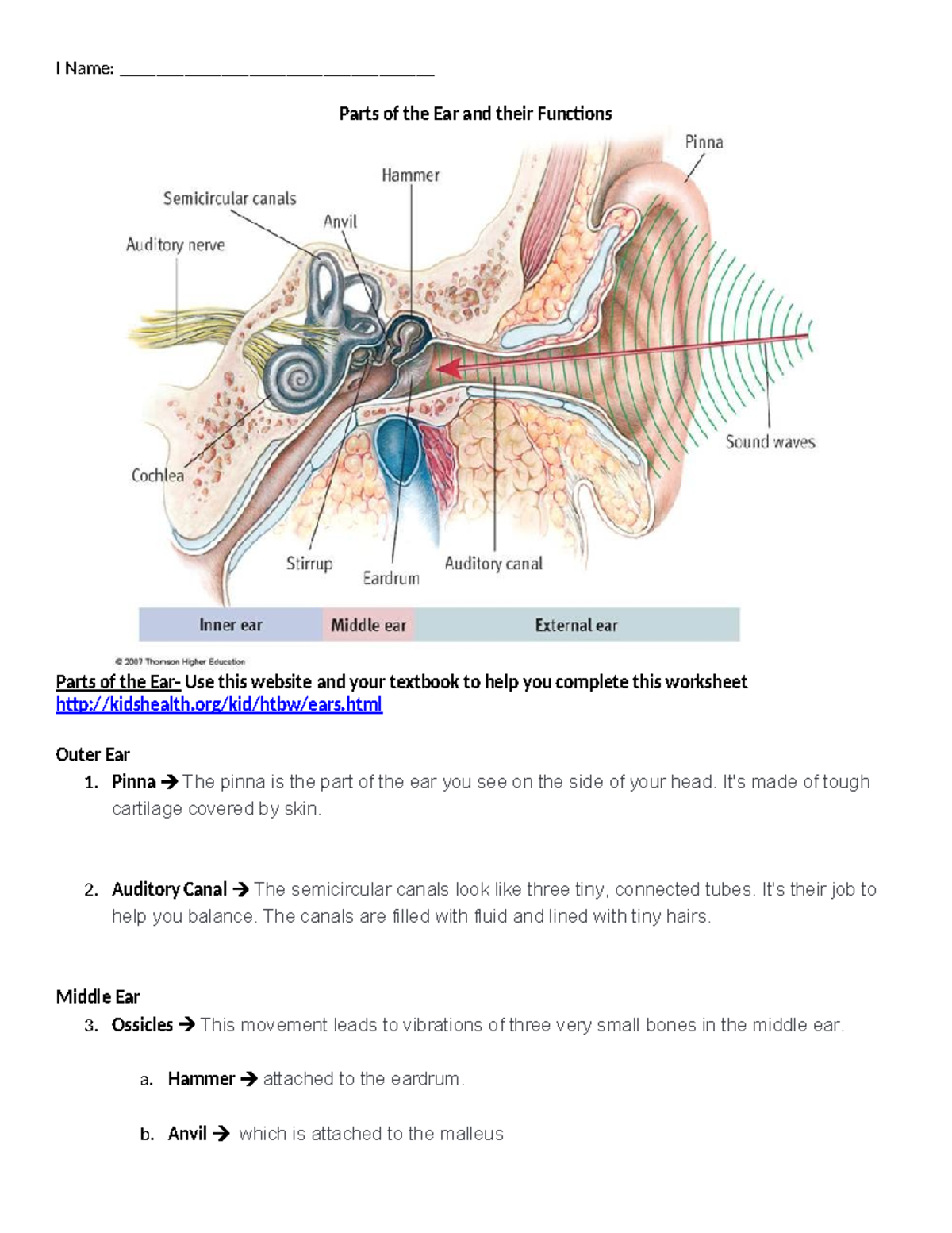 3 - worksheet - I Name: __________________________________ Parts of the ...