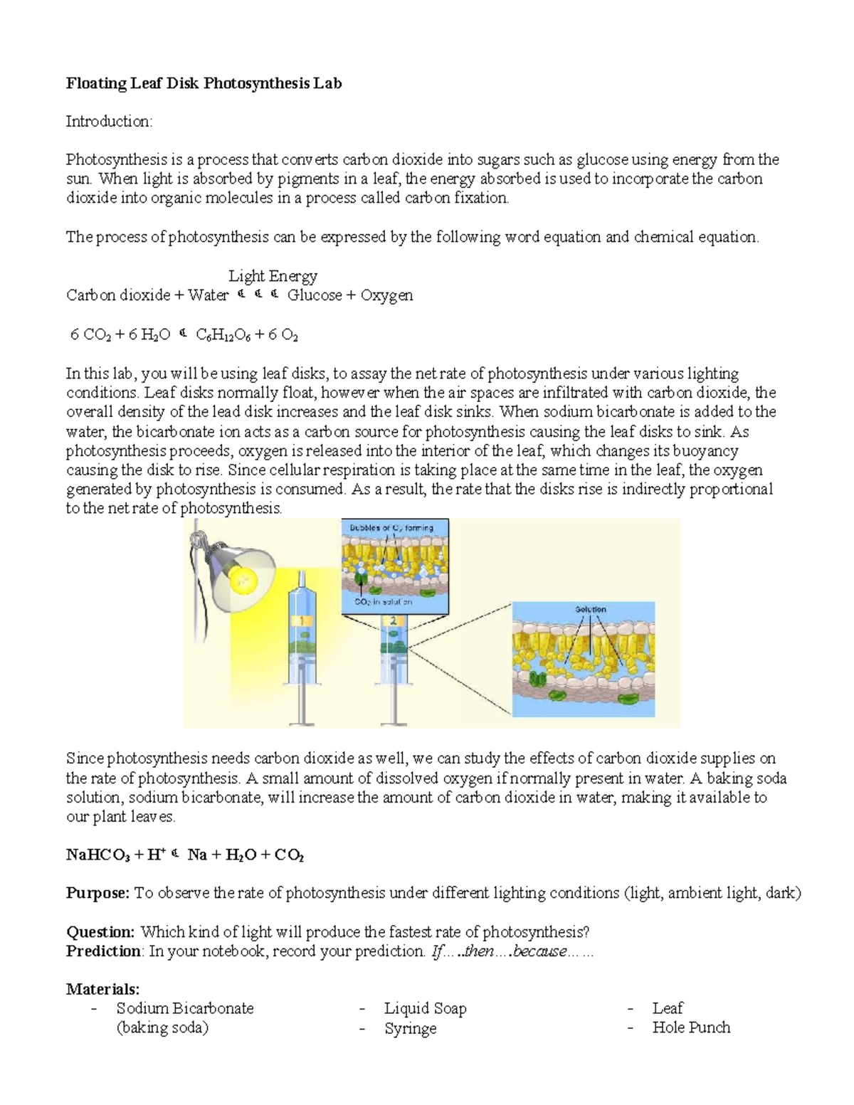 Gene Expression - Floating Leaf Disk Photosynthesis Lab Introduction ...