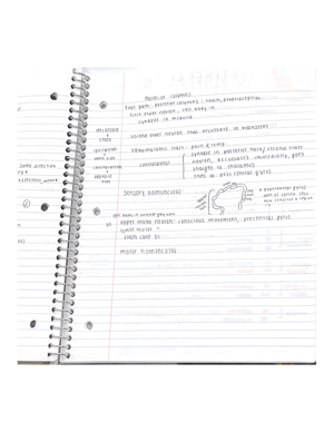 Anatomy (dragged) 20 - stacy ruch - BIO 175 - Studocu