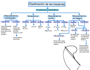 Caso clínico 3 Equipo 5 Microbiología - Universidad Autónoma de Guadalajara Instituto de ...