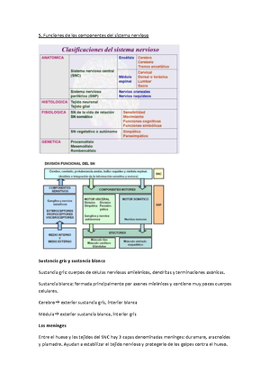 Práctica1 - 1: Metaneuron Programa que sirve para modelar las ...