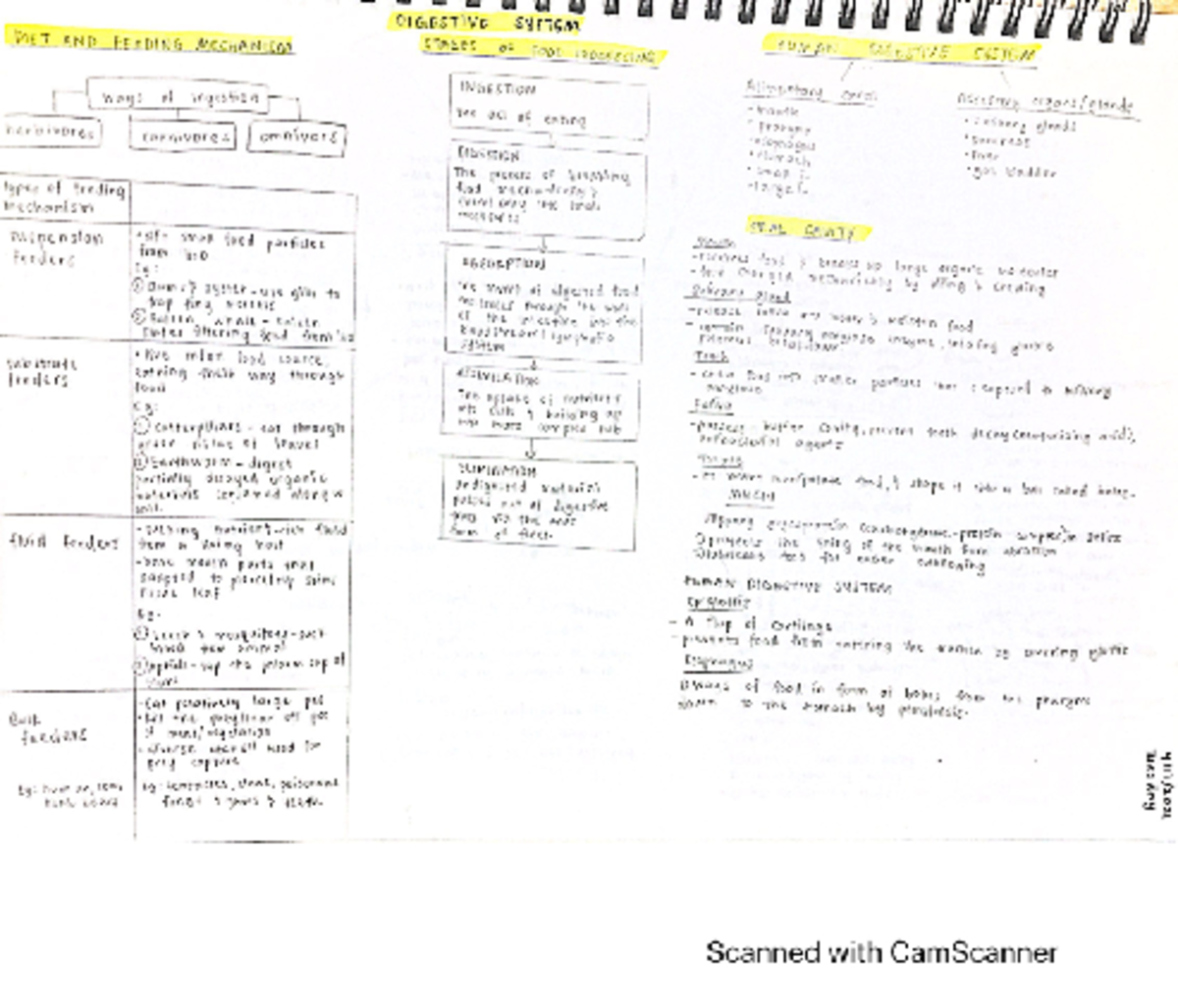 MIND MAP BIO Digestion - Histology of Cell and Tissue - Studocu