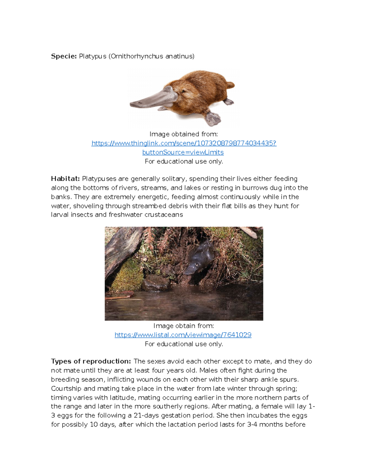 Ev 1 life science - Specie: Platypus (Ornithorhynchus anatinus) Image ...