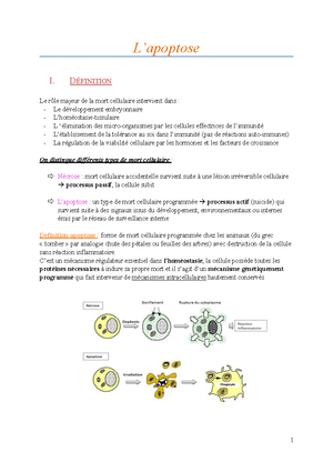 13. Adhésion ou adhérence cellulaire - GÉNÉRALITÉS 1. Définitions L ...