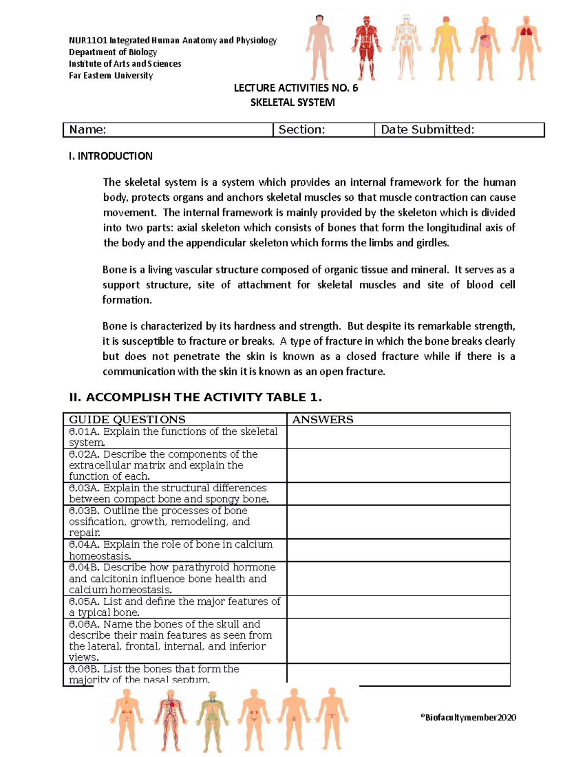 LEC Activity 6 Skeletal System - NUR11O1 Integrated Human Anatomy and ...
