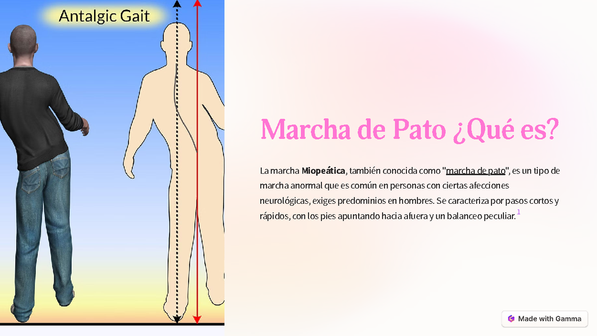 Marcha de Pato Que es 2 - para ayudar a los demas - Semiología I ...
