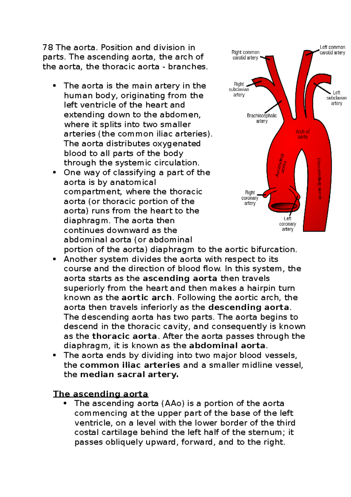 78 The aorta. Position and division in parts. The ascending aorta, the ...