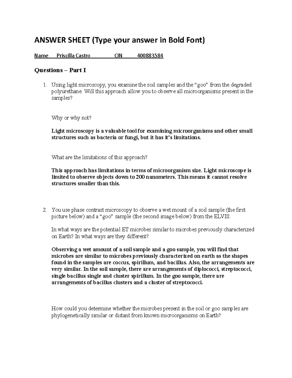 Elvis Answer Sheet-1-1 - ANSWER SHEET (Type your answer in Bold Font ...