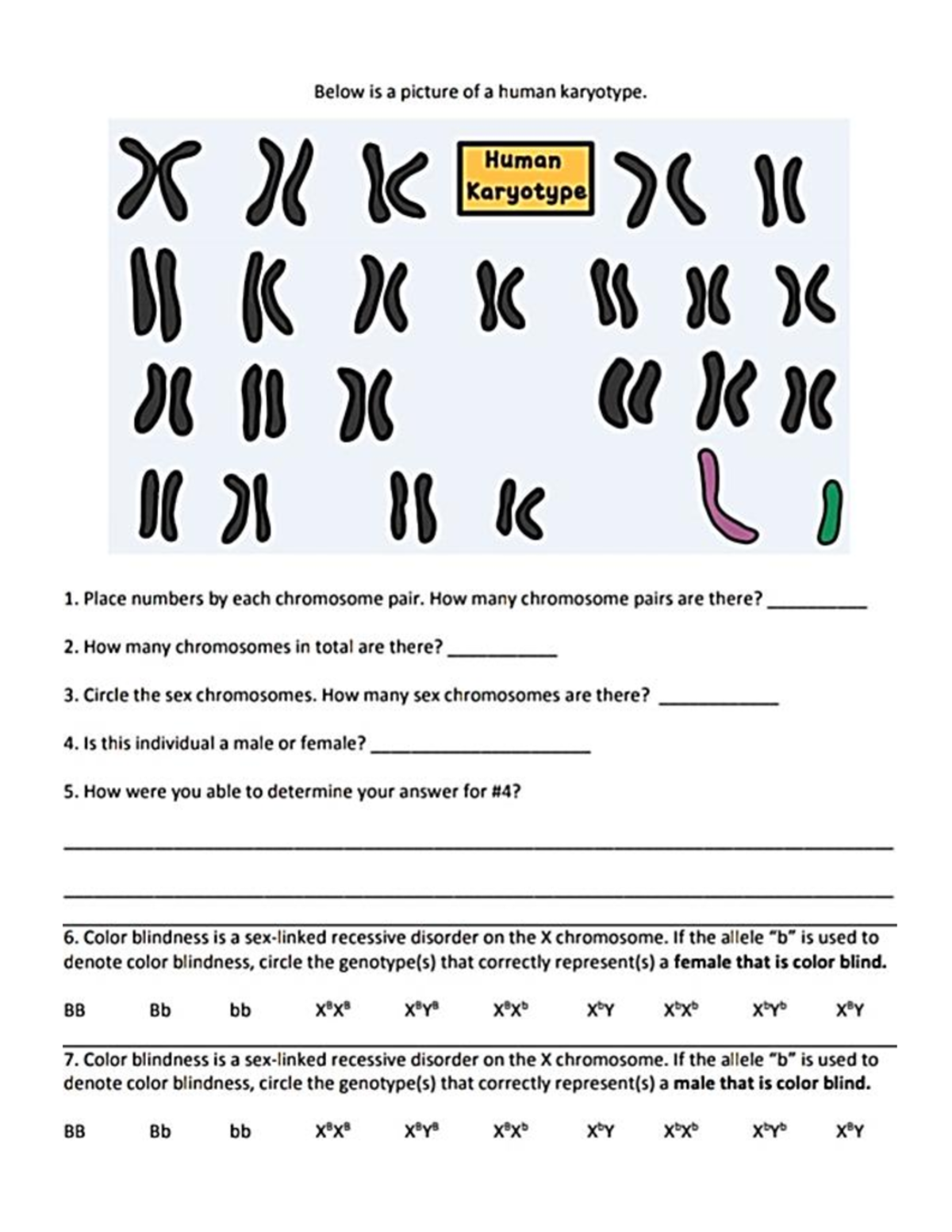 Non-Mendelian Genetics Worksheet - Biology - Studocu