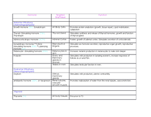 Physical Assessment Example - Level 1 nursing rn - Student name: IMA ...