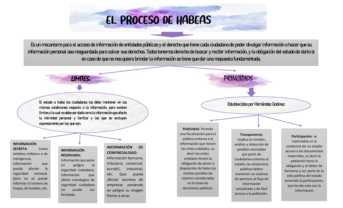 Proceso de habeas - mapas conceptuales - EL PROCESO DE HABEAS Es un mecanismo para el acceso de ...