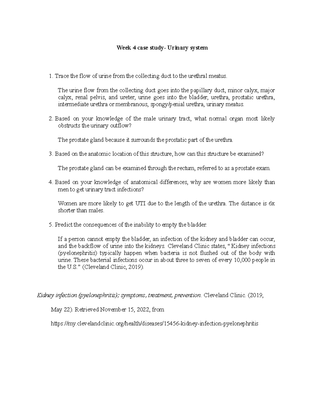 WK 4 case study - Week 4 case study- Urinary system Trace the flow of ...