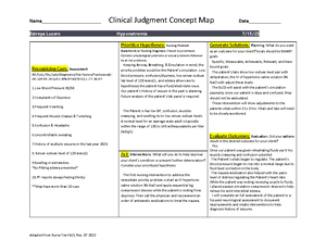 Clinical Judgment Concept Map 4 - 07. Estreya (Star) Lucero Recognizing ...