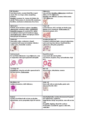 Table describing the features of Leukocytes - Size Nucleus Cytoplasm ...