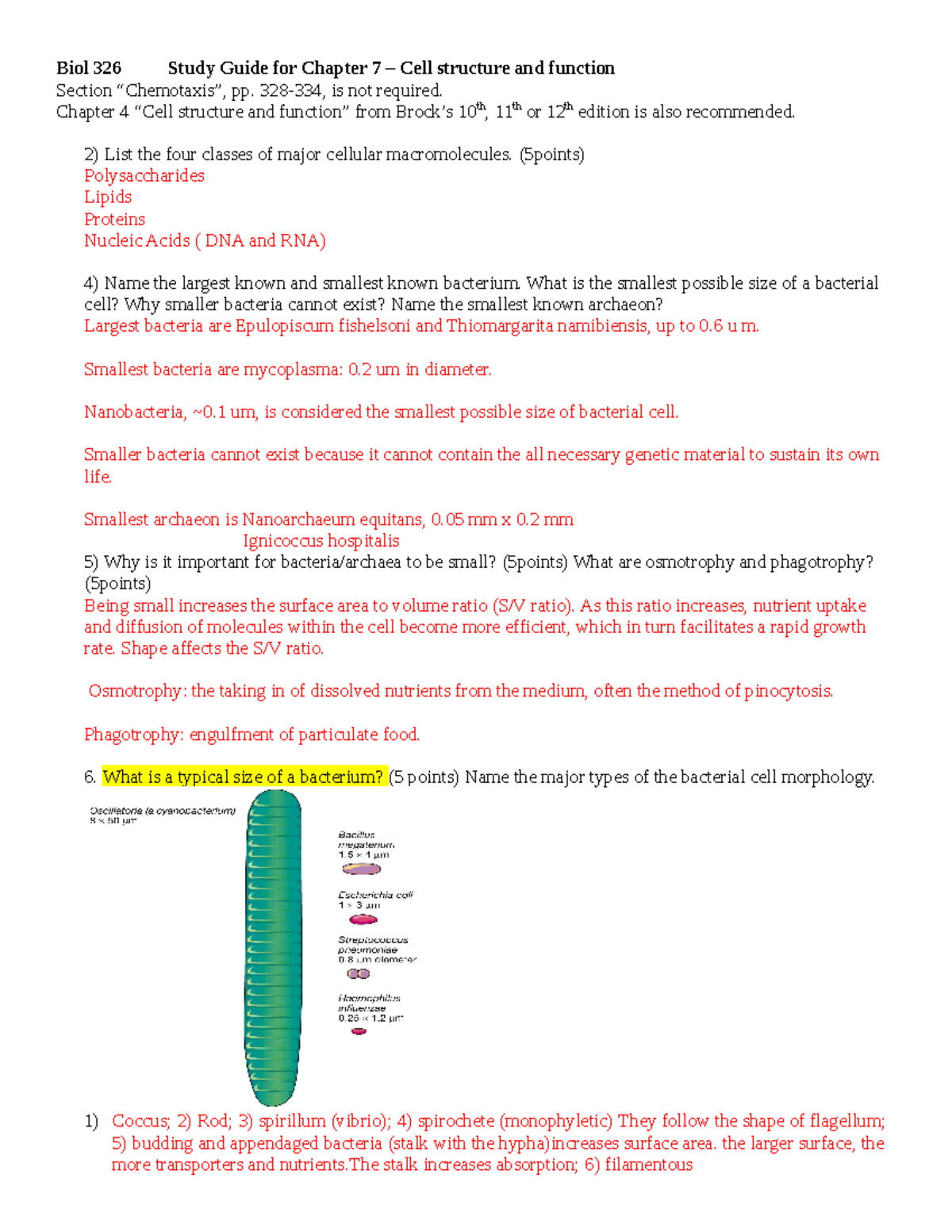 Ch 7- SGAnswer - Biol 326 Study Guide for Chapter 7 – Cell structure ...