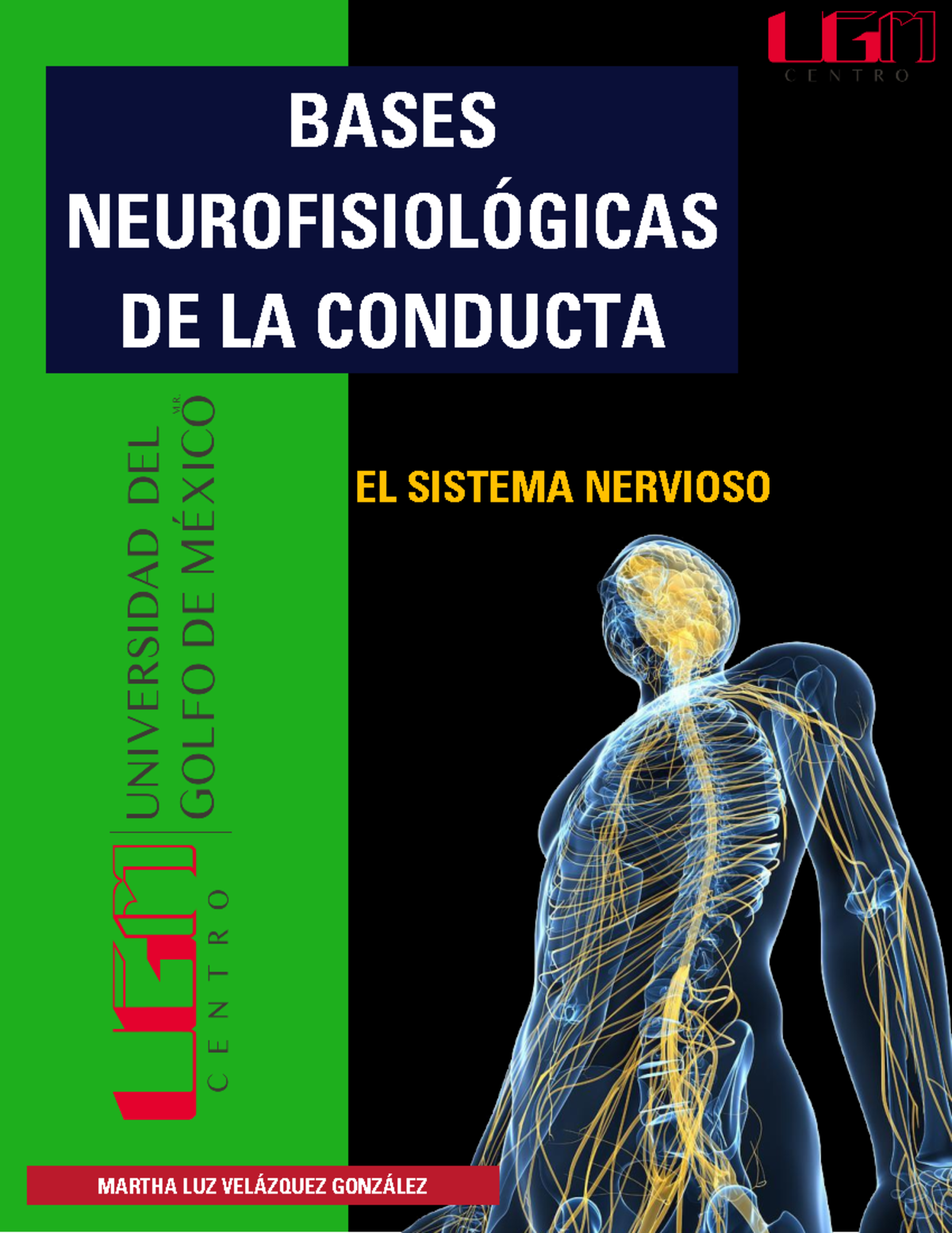 Sistema Nervioso - BASES NEUROFISIOLÓGICAS DE LA CONDUCTA EL SISTEMA ...