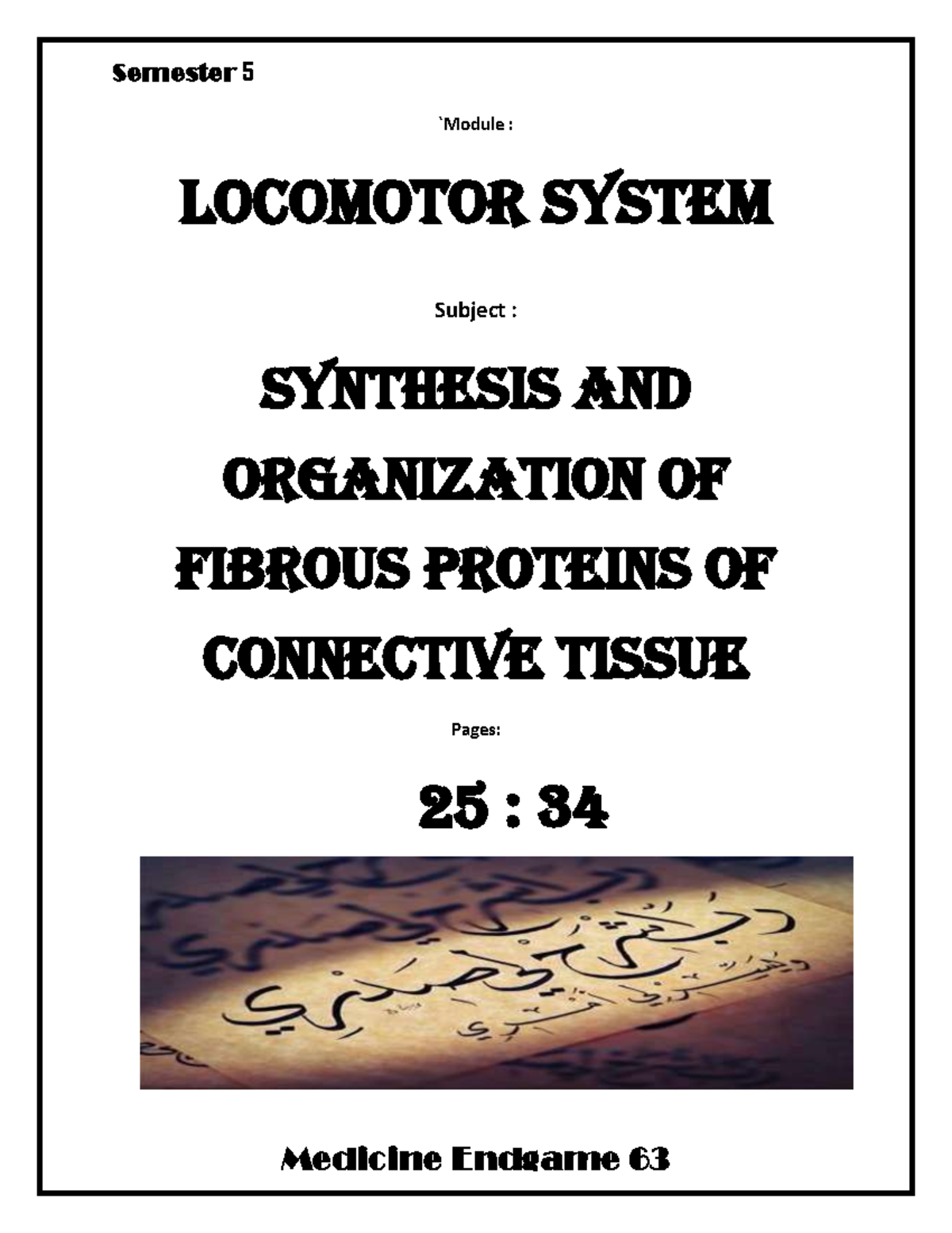 Synthesis and organization of fibrous proteins of connective tissue ...