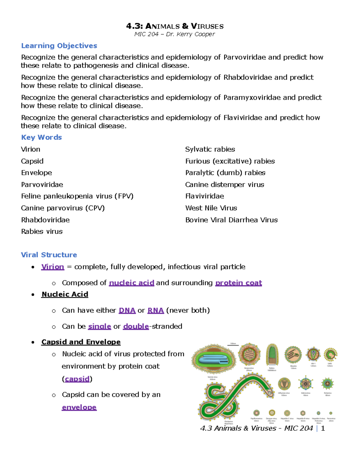 MIC 204- 4.3 Animals and Viruses - 4: ANIMALS & VIRUSES MIC 204 – Dr ...