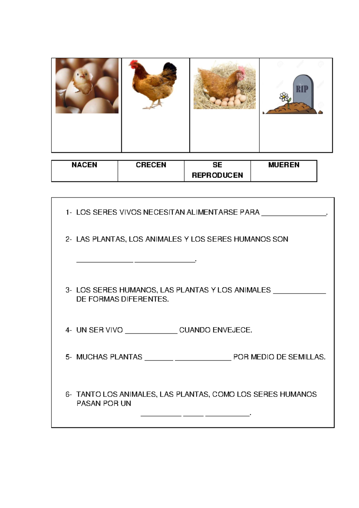 Clase 24-4 - ......................... - NACEN CRECEN SE REPRODUCEN ...