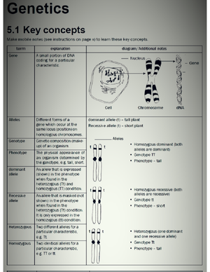 science grade 12 notebook learns guide m - Meiosis 2 What is meiosis ...