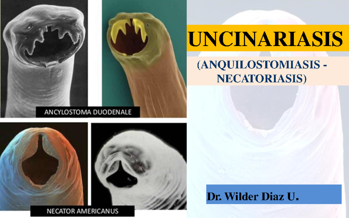 1 Uncinariasis 2023 [Autoguardado] - UNCINARIASIS (ANQUILOSTOMIASIS ...