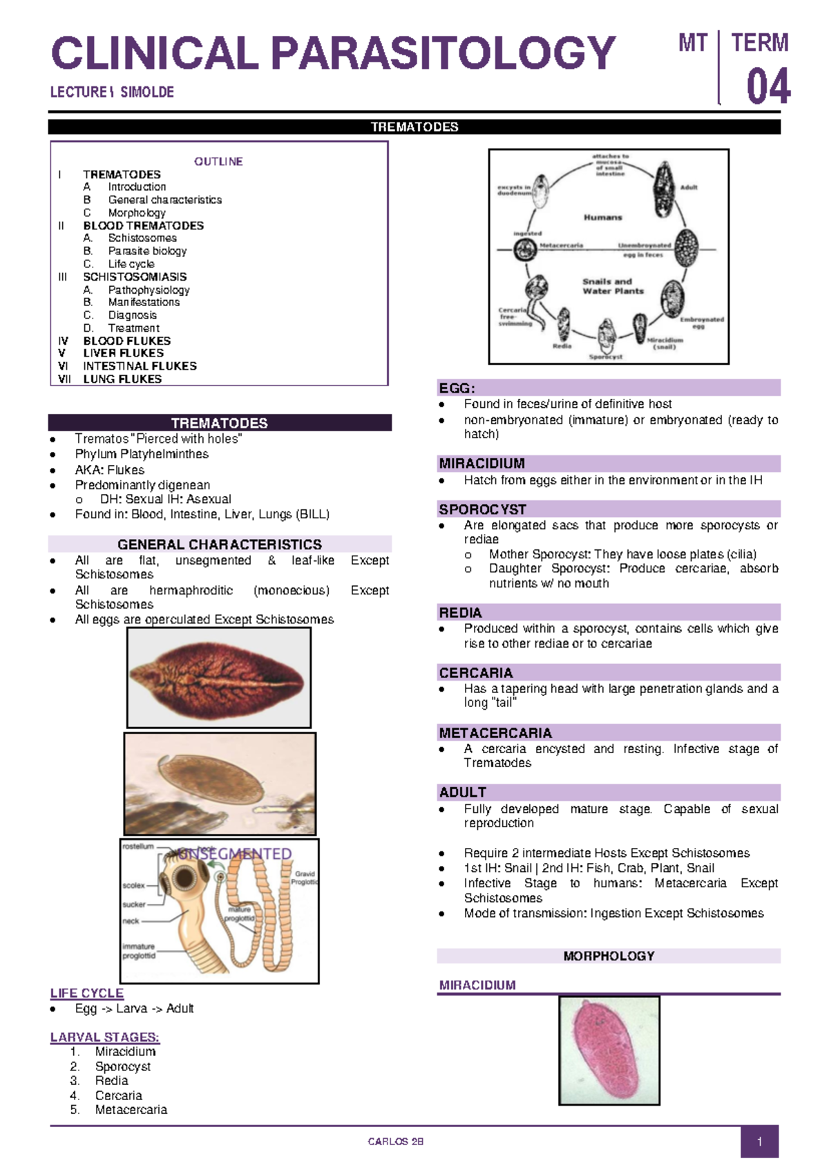 Lecture Trematodes - CLINICAL PARASITOLOGY LECTURE \ SIMOLDE TREMATODES TREMATODES Trematos ...