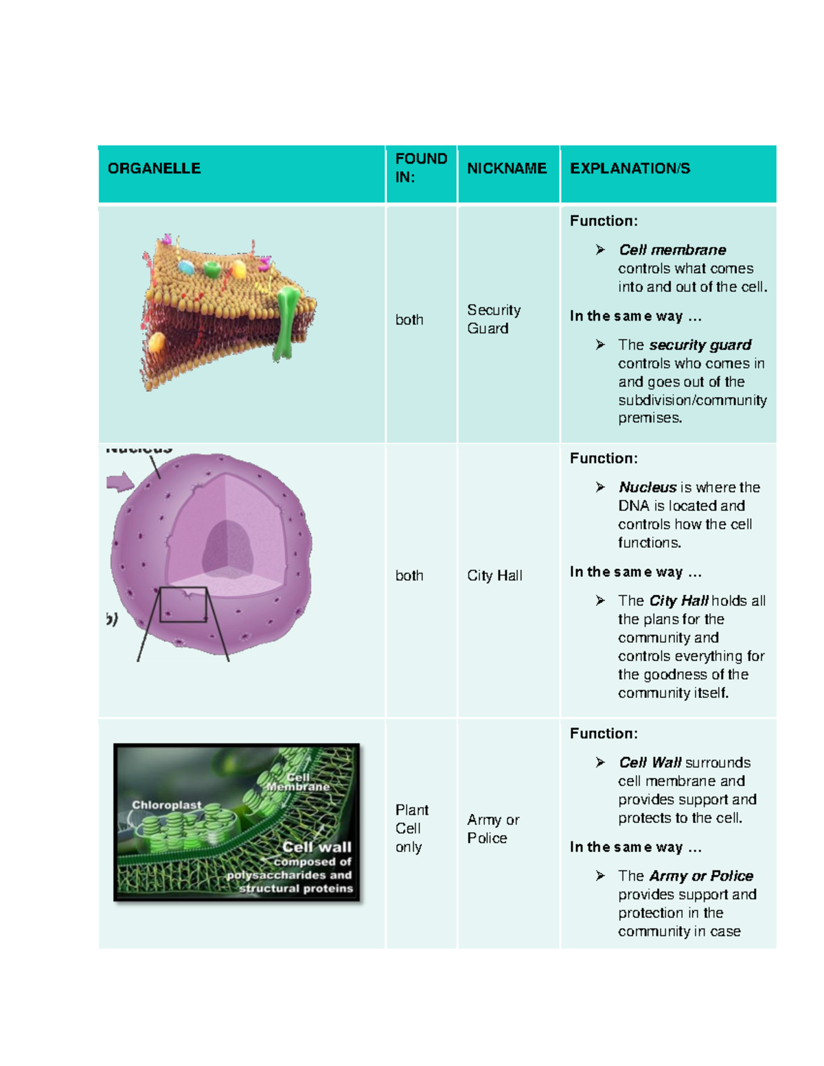 Science - ORGANELLE FOUND IN: NICKNAME EXPLANATION/S both Security ...