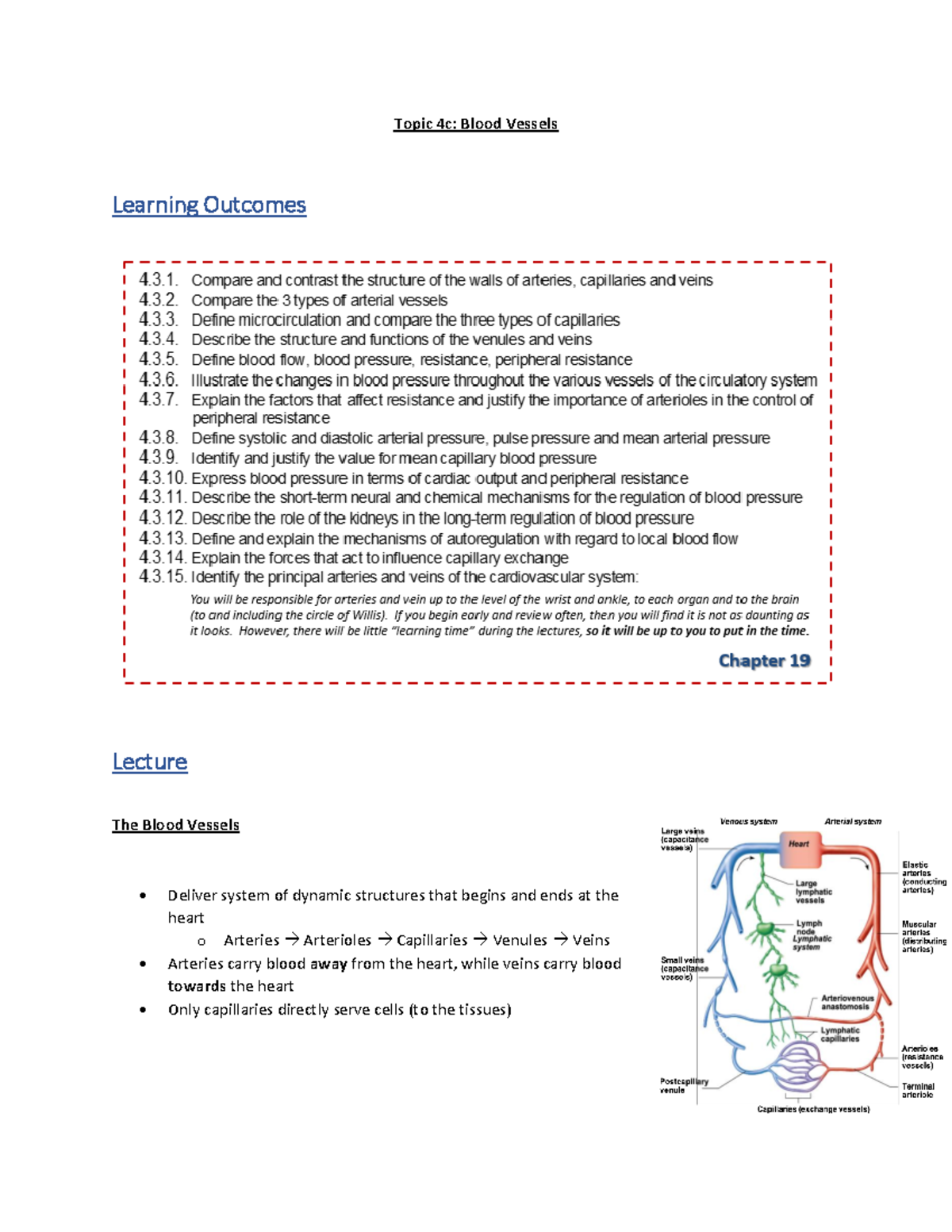 Topic 4c Blood Vessels - Lecture notes 4c - Topic 4c: Blood Vessels ...